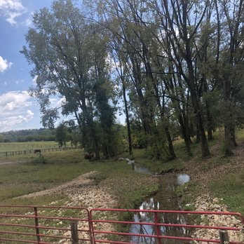 SHENANDOAH RIDING CENTER - Updated November 2025 - 49 Photos & 77 ...