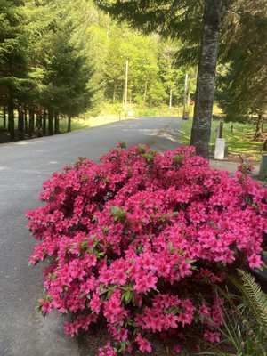 REMOTE OUTPOST RV PARK & CABINS - Updated July 2025 - 66 Photos & 15 ...