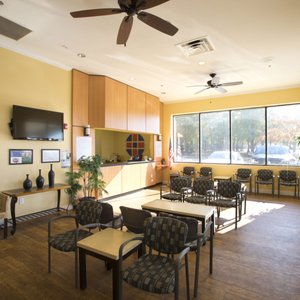 IMAGE CARE - Updated January 2025 - 710 Rabon Rd, Columbia, South ...