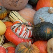 TONNEMAKER VALLEY FARM - 80 Photos - Fruits & Veggies - 16211 140th Pl ...