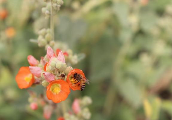 WATERWISE COMMUNITY CENTER - Updated July 2025 - 64 Photos & 15 Reviews ...