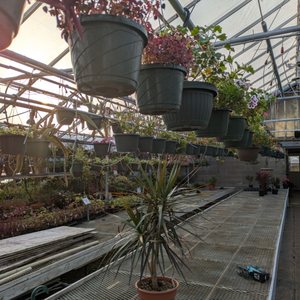 MENARDS BAXTER - Updated October 2025 - 15236 Dellwood Dr, Brainerd ...