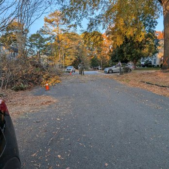 CHEAP & GREAT TREE SERVICES - Updated December 2025 - 57 Photos & 136 ...