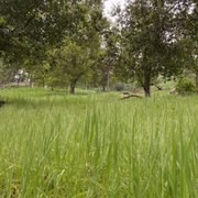 MURPHY RANCH PARK - 186 Photos & 45 Reviews - Hiking - 16200 Las ...