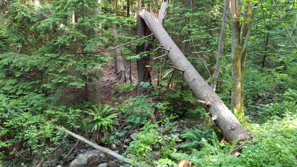 MAHON PARK - Updated December 2025 - 1648 Jones Avenue, North Vancouver ...