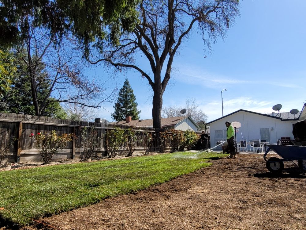 GREEN ERA LANDSCAPING - Updated April 2024 - 11 Photos - Chico ...