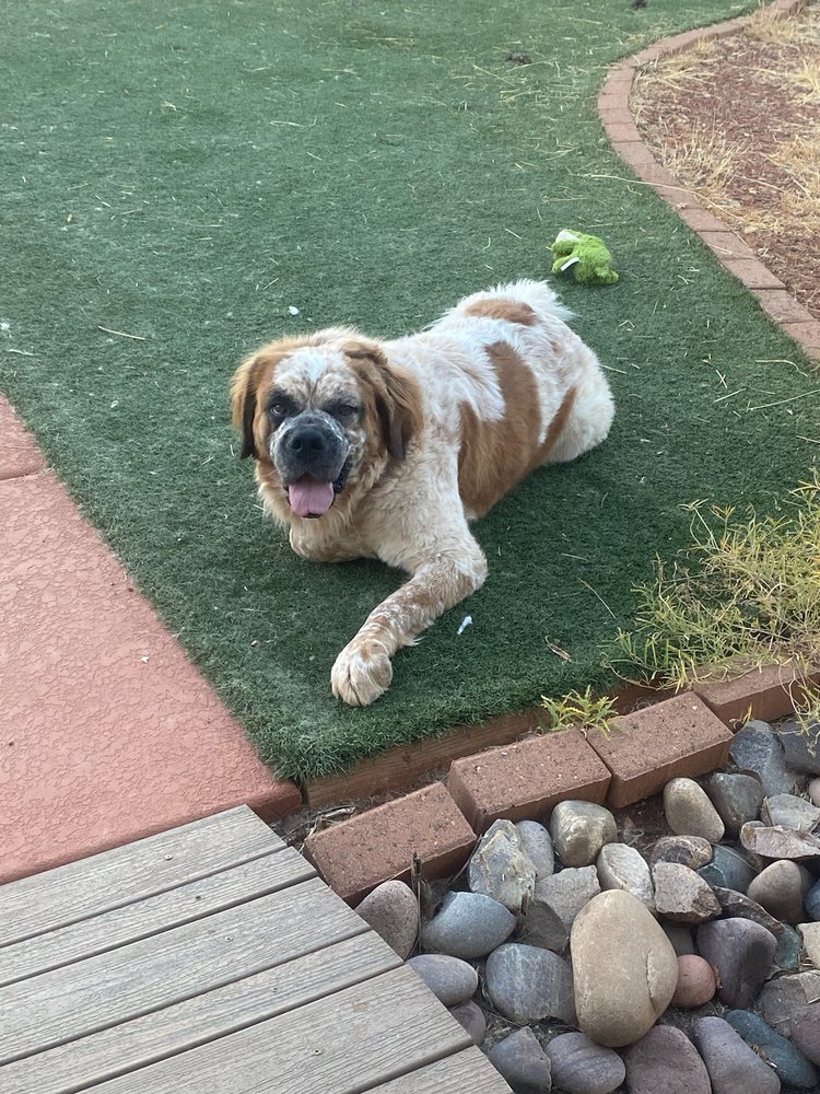 THE PET CORRAL - Updated December 2025 - 673 AZ 90, Sierra Vista ...