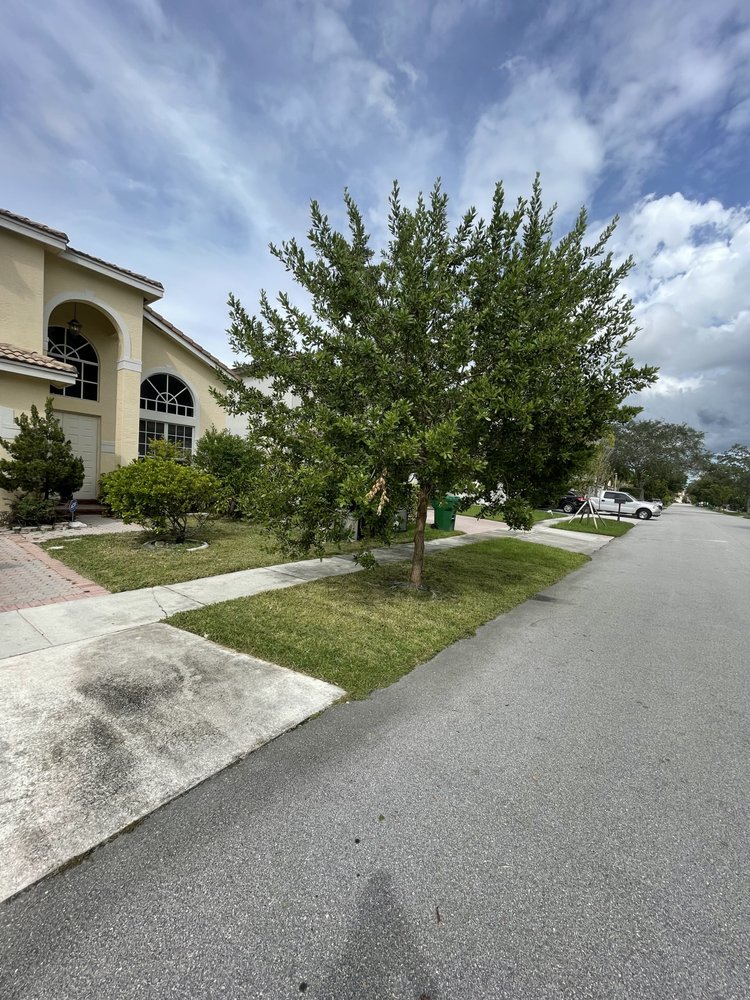 JUAN TREE SERVICES AND LANDSCAPING - Updated October 2025 - Request a ...