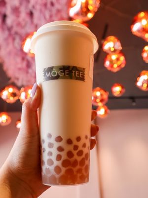 MOGE TEE - ORLANDO - Updated November 2024 - 385 Photos & 141 Reviews ...