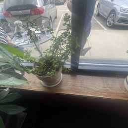 ASIAN KITCHEN - Updated October 2025 - 299 Photos & 287 Reviews - 1125 ...