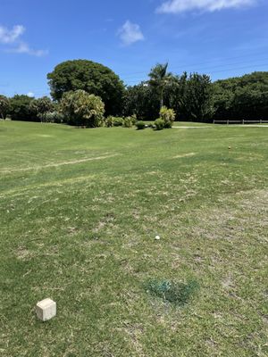 RED REEF EXECUTIVE COURSE - Updated October 2025 - 18 Photos & 29 ...