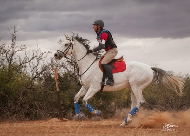 TRAILHEAD RANCH - CAVE CREEK - Updated December 2025 - 23 Photos & 20 ...