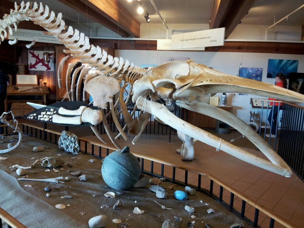 KENNETH C. PATRICK VISITOR CENTER - 12 Photos - 1 Drakes Beach Rd ...