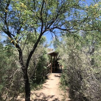 Roper Lake State Park - 87 Photos & 21 Reviews - RV Parks - 101 E Roper ...