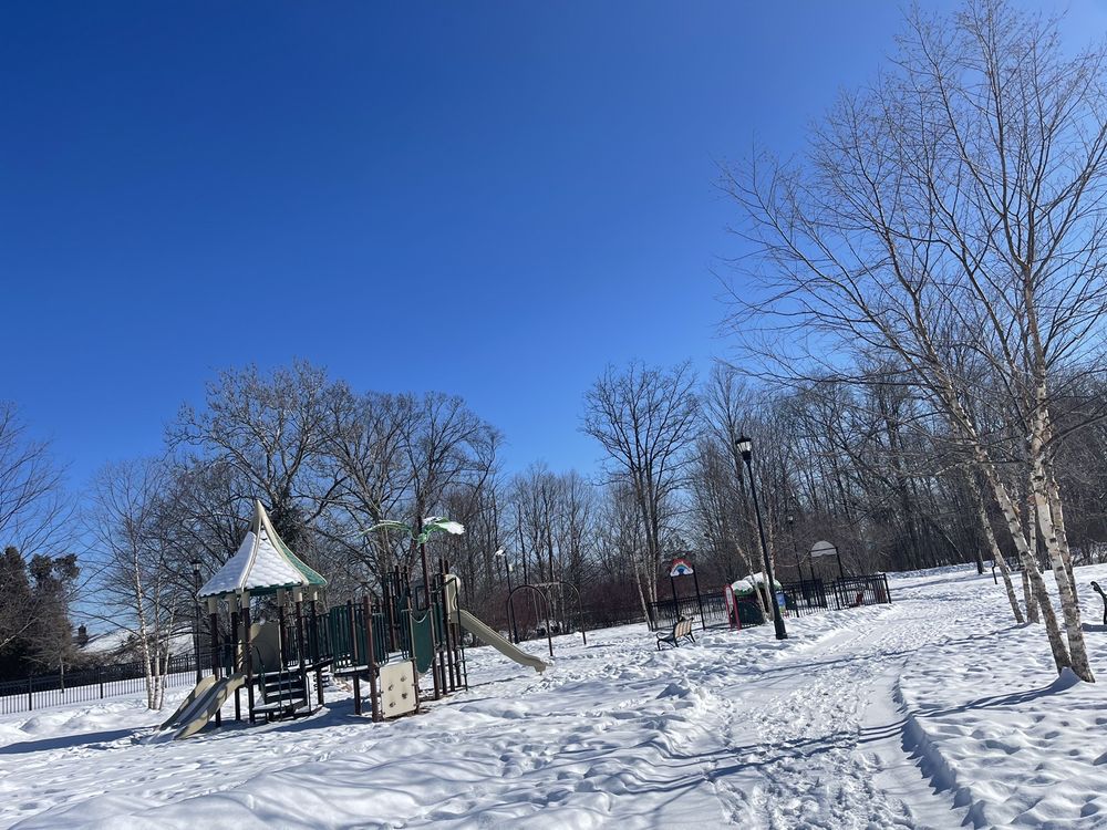 THE HOLYOKE DOG PARK - Updated February 2025 - 27 Photos & 10 Reviews ...
