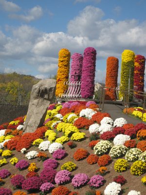 Ott’s Exotic Plants - 175 Photos & 59 Reviews - Nurseries & Gardening ...