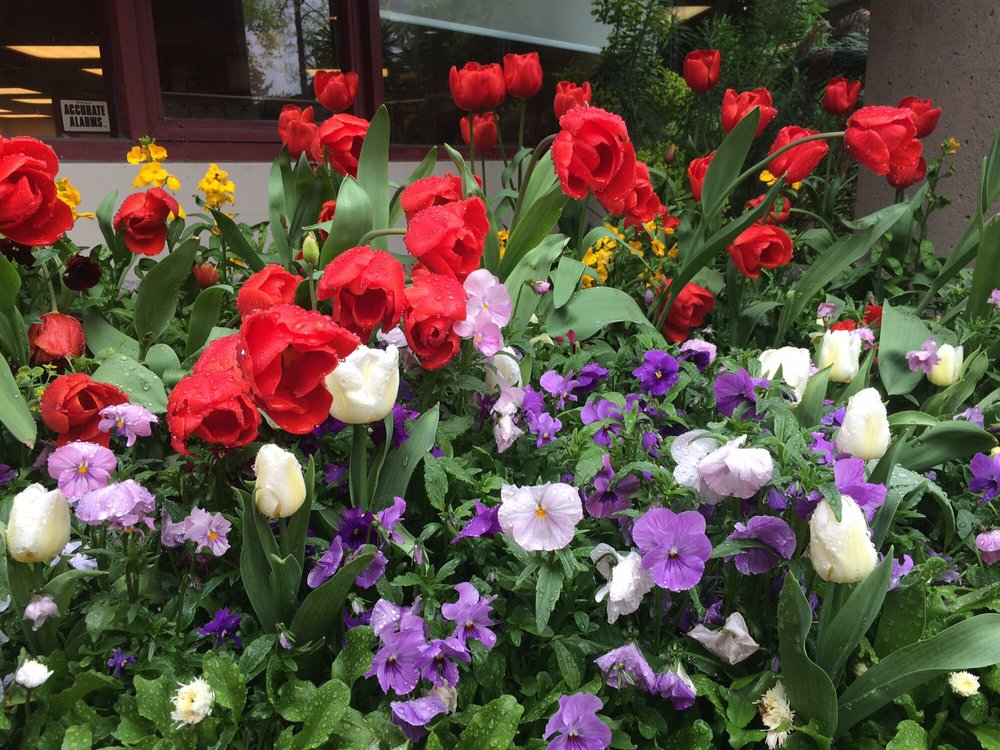 NEW WESTMINSTER PUBLIC LIBRARY - Updated December 2024 - 716 6 Avenue ...