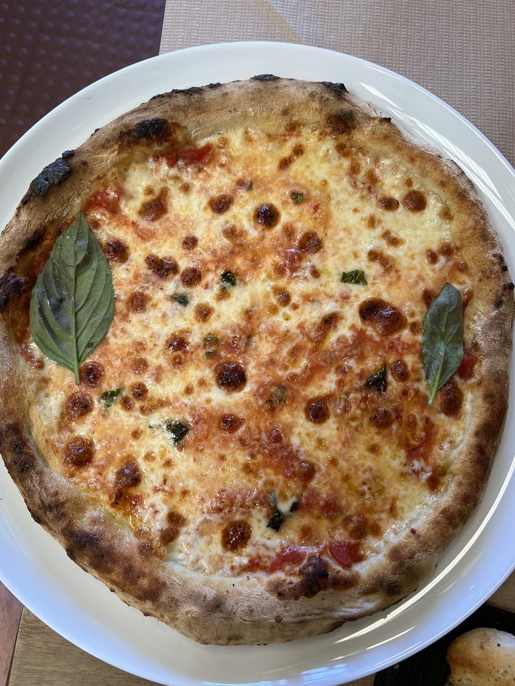 BOTICA SALOIA - Updated August 2024 - R. Paço 16, Lisboa, Portugal ...