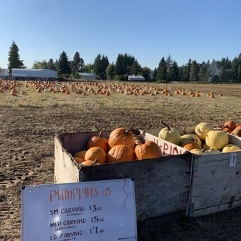 THOMPSON FARMS - Updated December 2025 - 12 Photos & 18 Reviews - 24727 ...