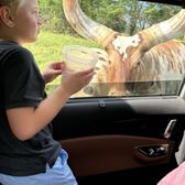 WILSTEM - Updated August 2025 - 342 Photos & 83 Reviews - 4229 W US-150 ...