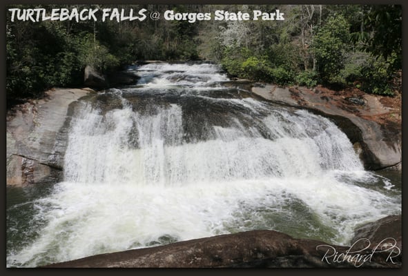 RAINBOW & TURTLEBACK FALLS TRAILHEAD - GORGES STATE PARK - 13 Photos ...