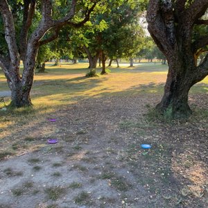 HUNTINGTON BEACH DISC GOLF COURSE - Updated May 2025 - 51 Photos & 58 ...