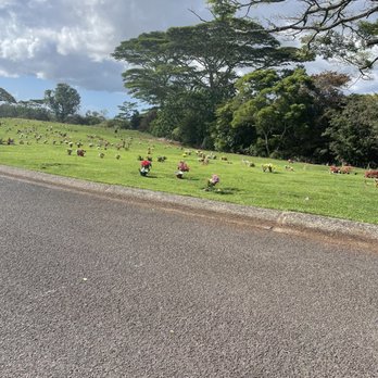 MILILANI MEMORIAL PARK & MORTUARY - Updated December 2025 - 451 Photos ...