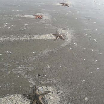 WHITECAP BEACH - Updated May 2025 - 175 Photos & 39 Reviews - 14618 S ...