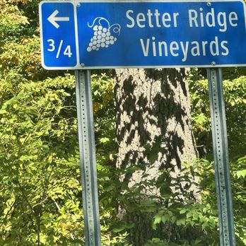 SETTER RIDGE VINEYARDS - Updated December 2025 - 79 Photos & 41 Reviews ...