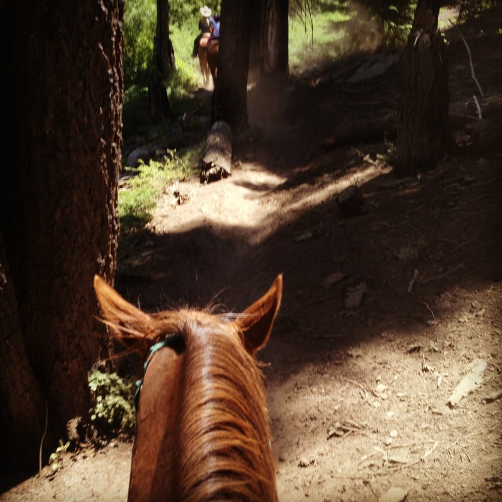 GRANT GROVE STABLES - Updated August 2025 - 87004 Highway 180, Kings ...