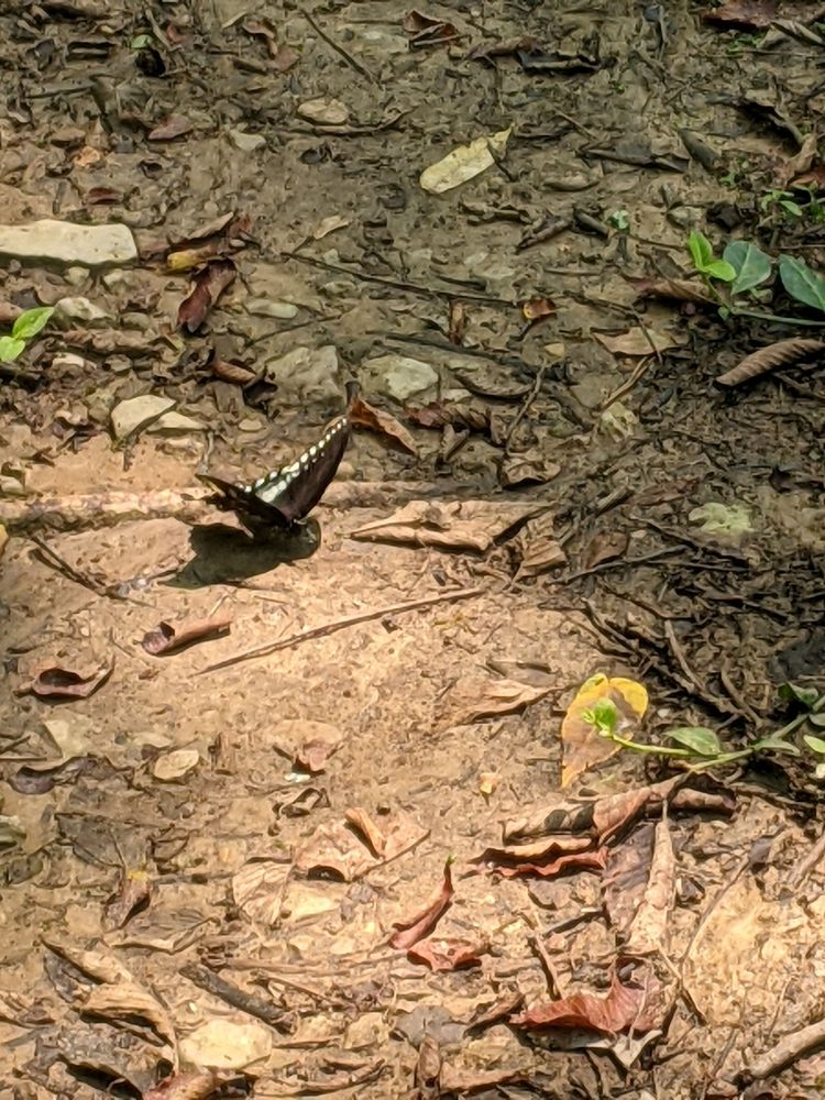 TOM DORMAN STATE NATURE PRESERVE - Updated December 2024 - 25 Photos ...