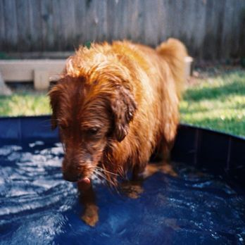 GARLAND CAMERA, REPAIR & PHOTOGRAPHIC IMAGING - Updated July 2025 - 94 ...