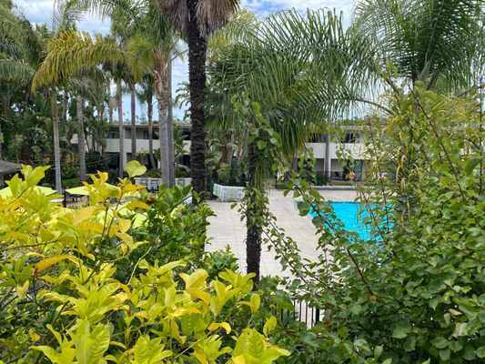 LEMON TREE INN - 124 Photos & 260 Reviews - Hotels - 2819 State St ...