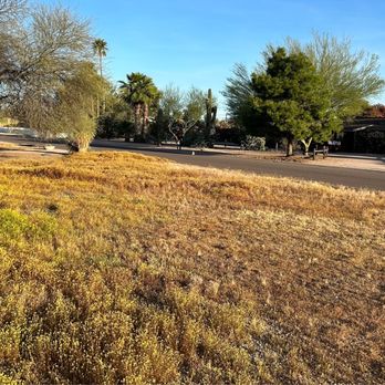 FELIX LANDSCAPE - Updated December 2025 - 131 Photos & 14 Reviews ...