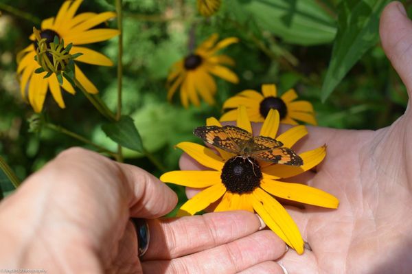 MAGNETIC SPRINGS - Updated December 2025 - 21 Photos - Magnetic Dr ...