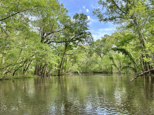 HOLMES CREEK CAMPING AND RV RESORT - Updated December 2025 - 41 Photos ...