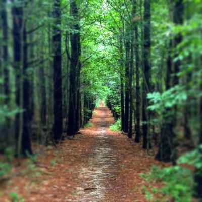 WOLDUMAR NATURE CENTER - Updated August 2024 - 24 Photos - 5739 Old ...