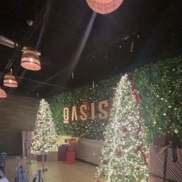 OASIS MEXICAN KITCHEN & BAR - Updated August 2025 - 97 Photos & 84 ...