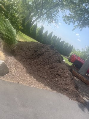 SMITTY’S TREE SERVICE - Updated October 2025 - 84 Photos & 61 Reviews ...