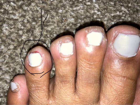 SPRINGFIELD NAILS SALON - Updated January 2026 - 243 Photos & 60 ...