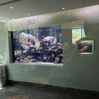 THE DALLAS WORLD AQUARIUM - Updated April 2025 - 3739 Photos & 1297 ...