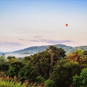 BUCKSNORT TROUT RANCH - 11 Photos - 622 W Sugar Creek Rd, Mc Ewen ...