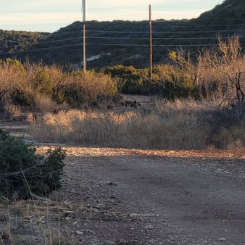 DOS PLUMAS HUNTING RANCH - Updated January 2026 - 64 Photos - 811 Co Rd ...