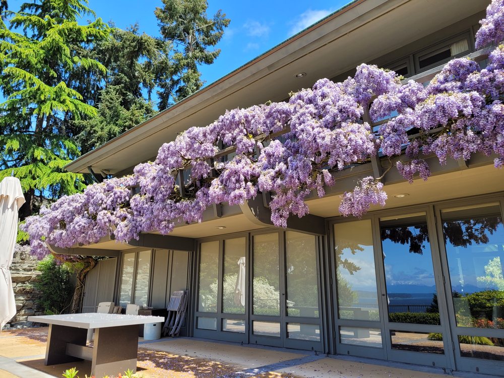 SMOKEY MOUNTAIN LANDSCAPES - Updated August 2025 - 172 Photos - 1312 ...