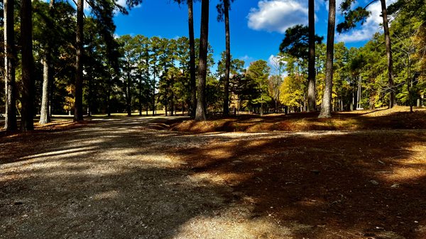 CHESTER STATE PARK - Updated October 2025 - 35 Photos & 12 Reviews ...