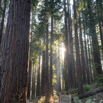 UC BOTANICAL GARDEN AT BERKELEY - 1456 Photos & 326 Reviews - 200 ...