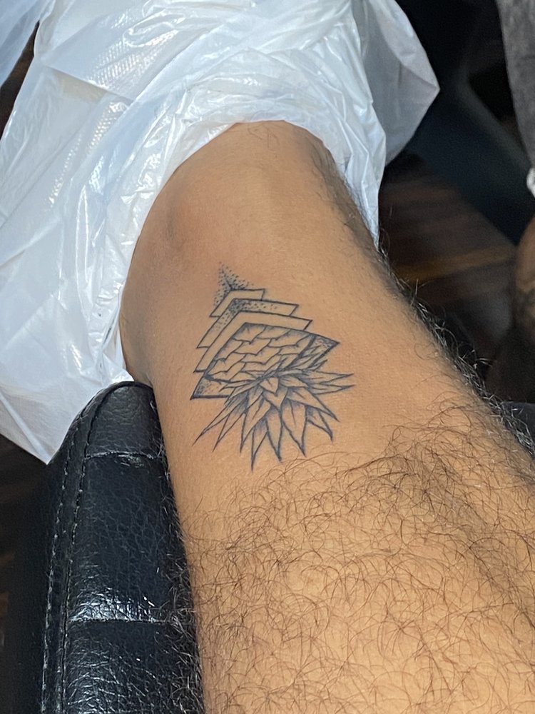 THE ROCK ZONE - Updated July 2024 - 78 Photos & 82 Reviews - 1323 1st ...