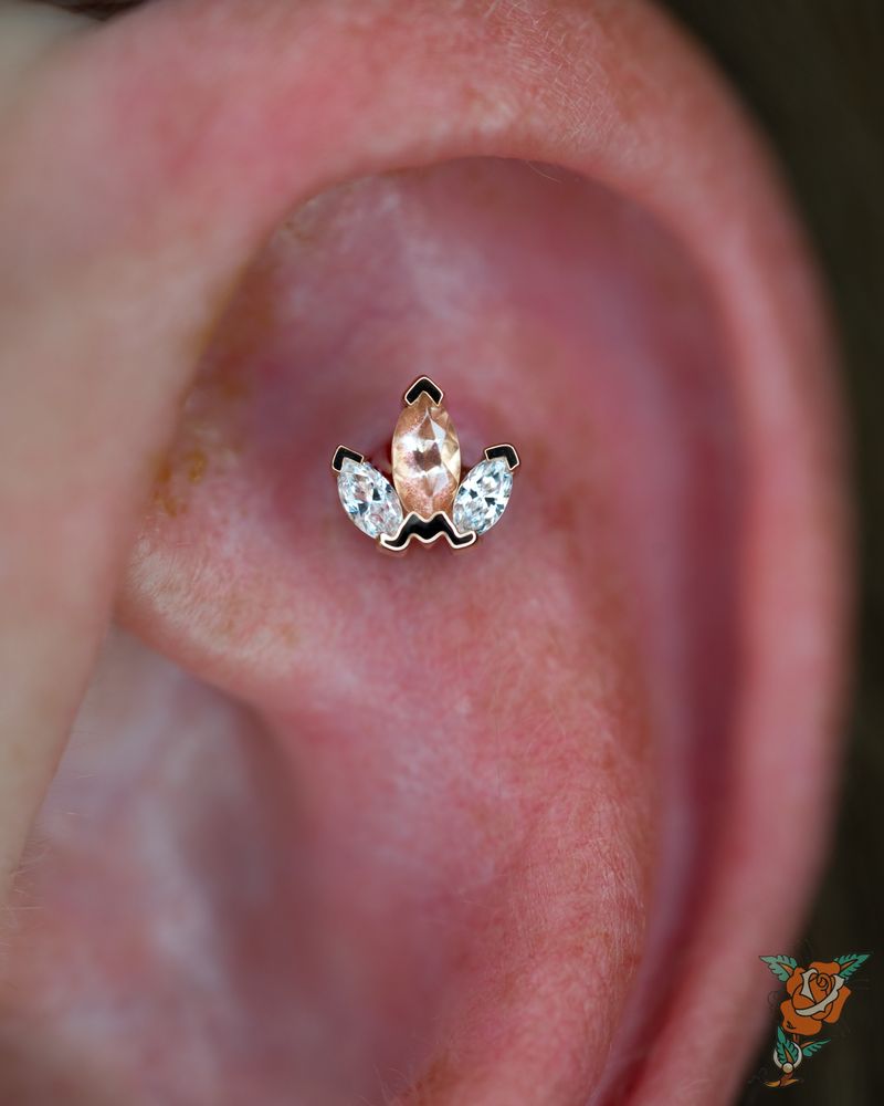 ROSE BODY PIERCING - Updated December 2025 - 127 Photos & 75 Reviews ...