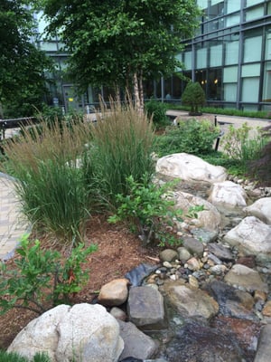 SMILOW CANCER HOSPITAL AT YALE-NEW HAVEN - Updated January 2026 - 27 ...