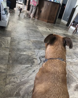 VCA BUFFALO RIDGE ANIMAL HOSPITAL - Updated January 2026 - 12 Photos ...